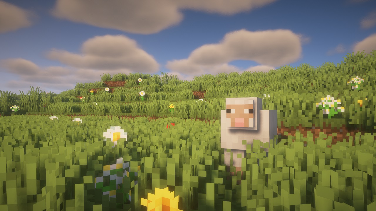 Capt Tatsu - BSL Minipacks